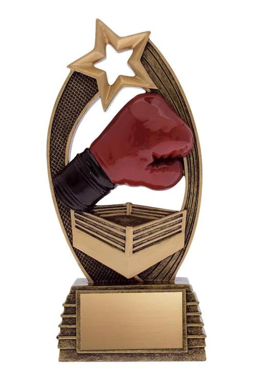 Custom Boxing Trophies | Personalized Boxing Awards – shoptrophies.com